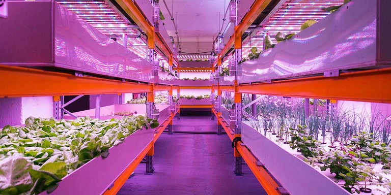 Urban Farming Ultimate Guide and Examples | GroCycle