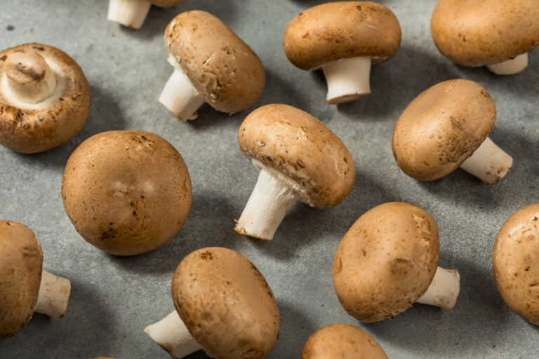Complete Guide To Cremini Mushrooms | GroCycle