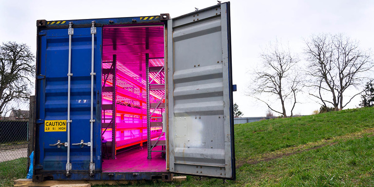 Urban Farming Ultimate Guide and Examples | GroCycle