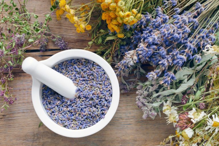 Grow Herbs for Profit: The Best Herbs to Grow + How to Do It | GroCycle