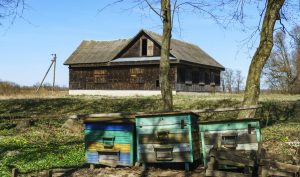 Beekeeping for Profit: A Guide to Making Money with Bees | GroCycle
