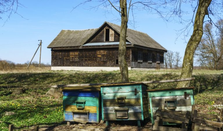 Beekeeping for Profit: A Guide to Making Money with Bees | GroCycle