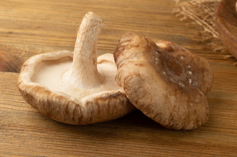 Can You Eat Mushroom Stems? How to Cook With Them | GroCycle