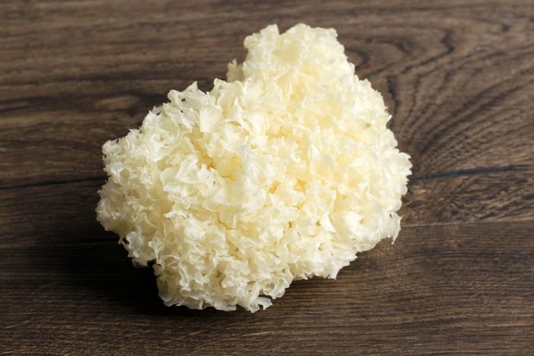 Everything You Need to Know About Tremella Mushrooms | GroCycle