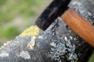 Mushroom Inoculation: Spawn, Substrate, Logs & Beds | GroCycle