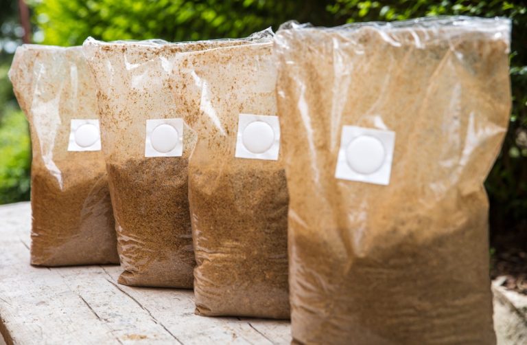 Complete Guide to Growing Mushrooms on Sawdust Blocks | GroCycle