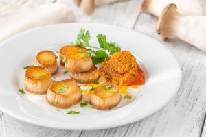 Can Mushrooms Replace Meat? 10 Best Mushroom Meat Substitutes | GroCycle
