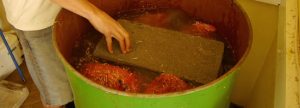 Cold Water Lime Bath Pasteurization for Mushroom Substrate | GroCycle