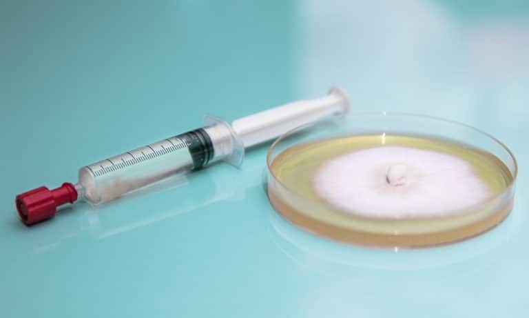 Mushroom Inoculation: Spawn, Substrate, Logs & Beds | GroCycle