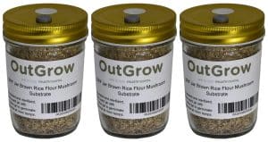 Pre-sterilized-BRF-Jar-1 | GroCycle