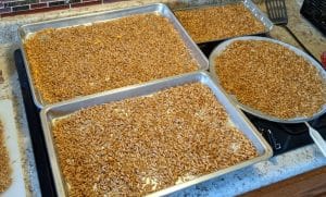 How to Make Grain Spawn at Home: A Step-by-Step Guide | GroCycle