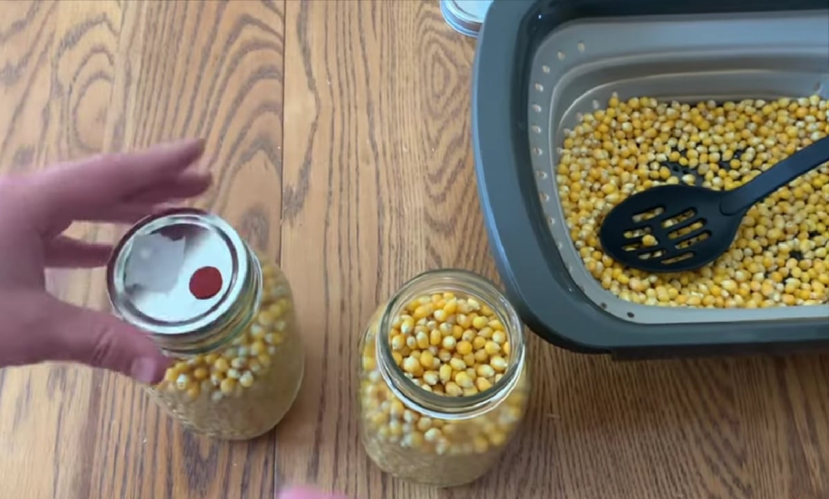 Popcorn Tek: The Ultimate Guide | GroCycle