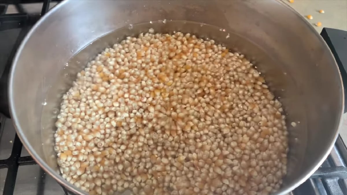 Popcorn Tek: The Ultimate Guide | GroCycle