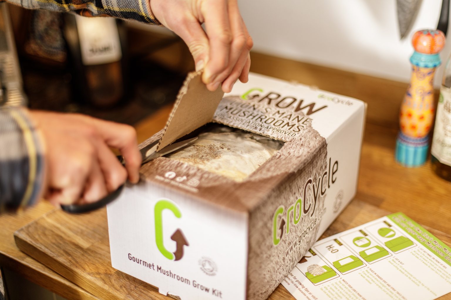 Lion's Mane Kit Care | GroCycle